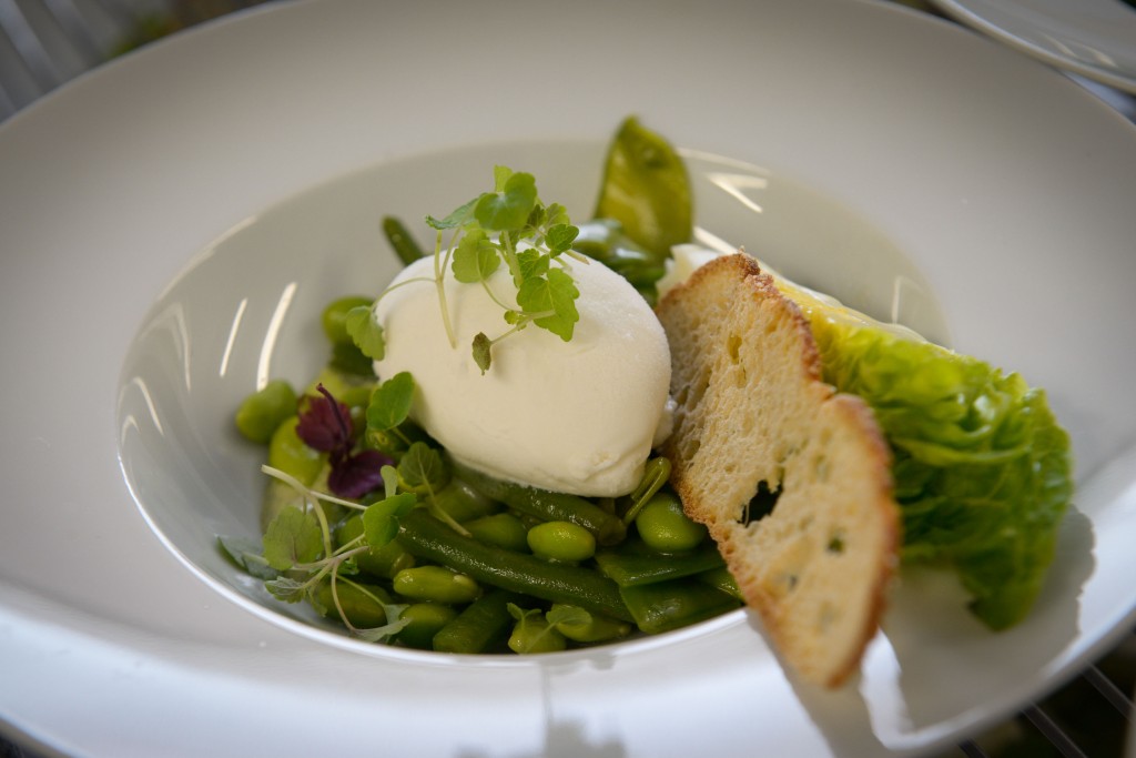 Boxes - Rolex Monte-Carlo Masters